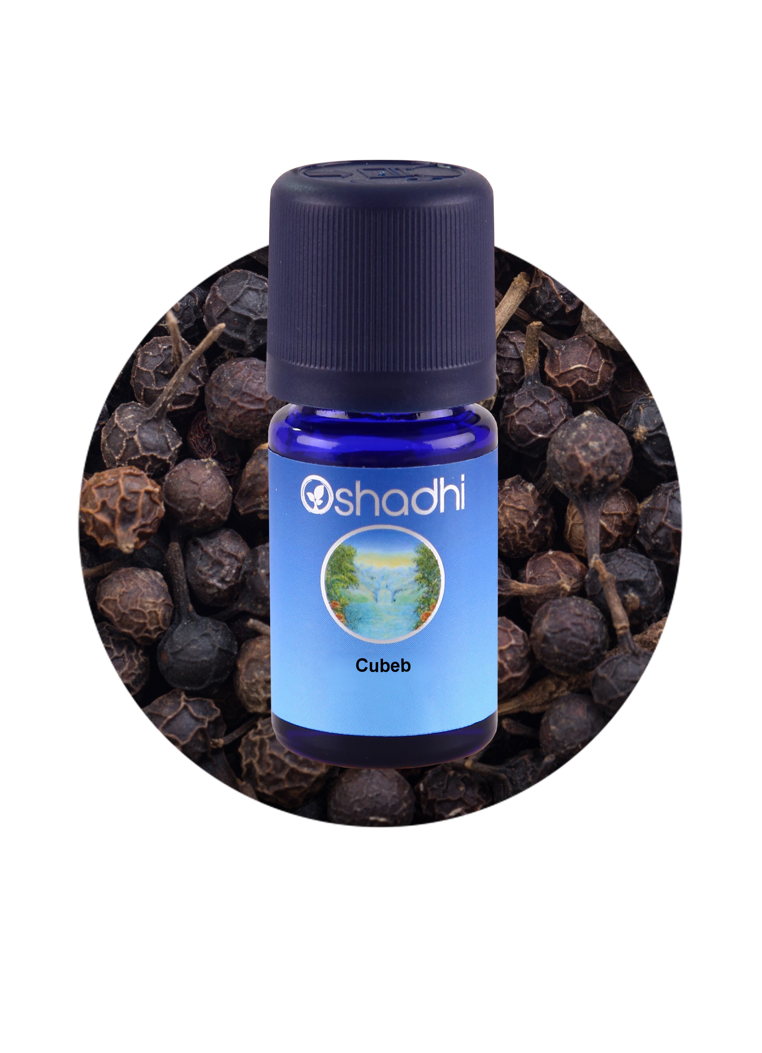 Cubeb Essential Oil: Warm Aroma for Relaxation