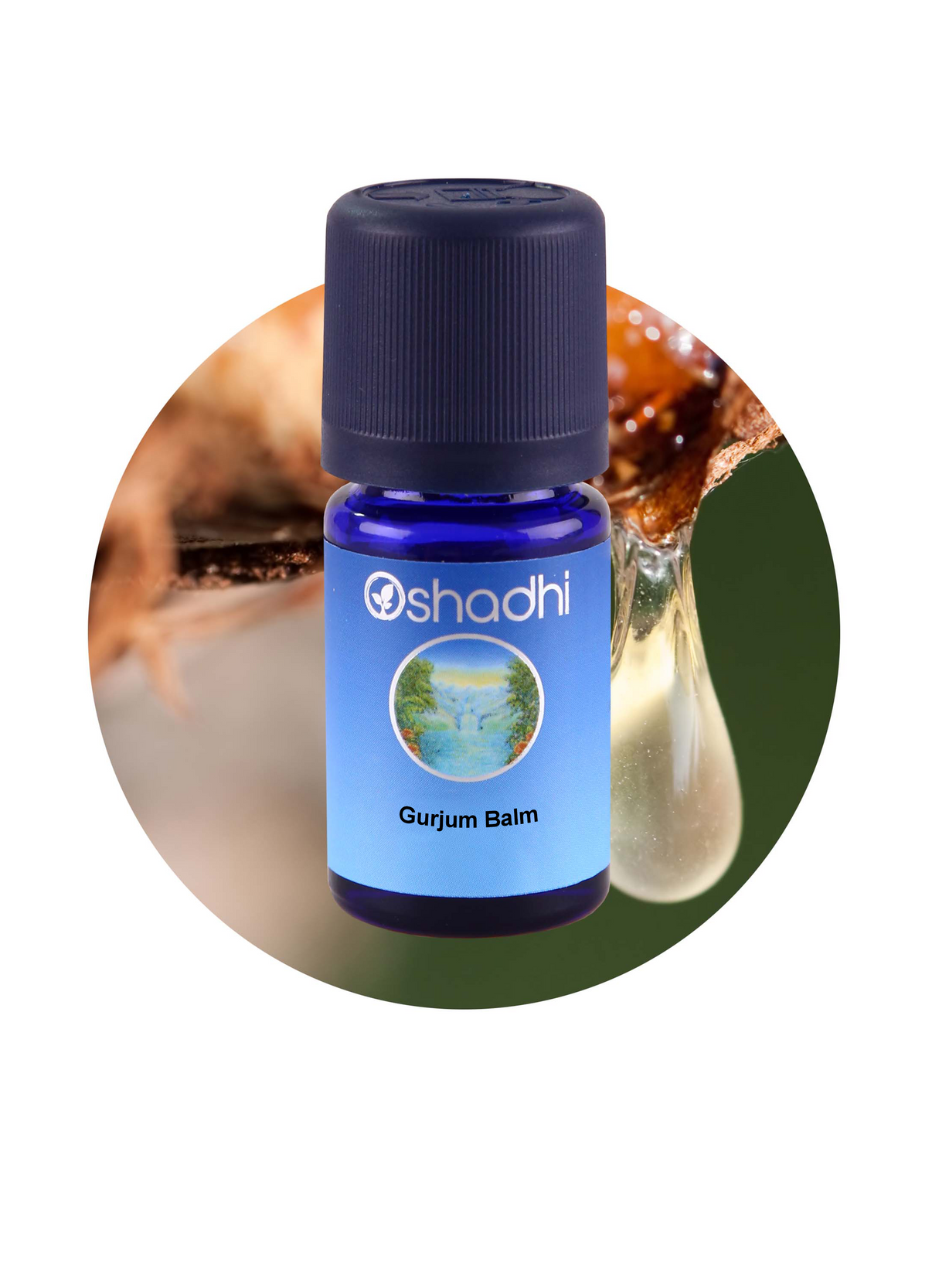 Gurjum Balm Essential Oil Aroma