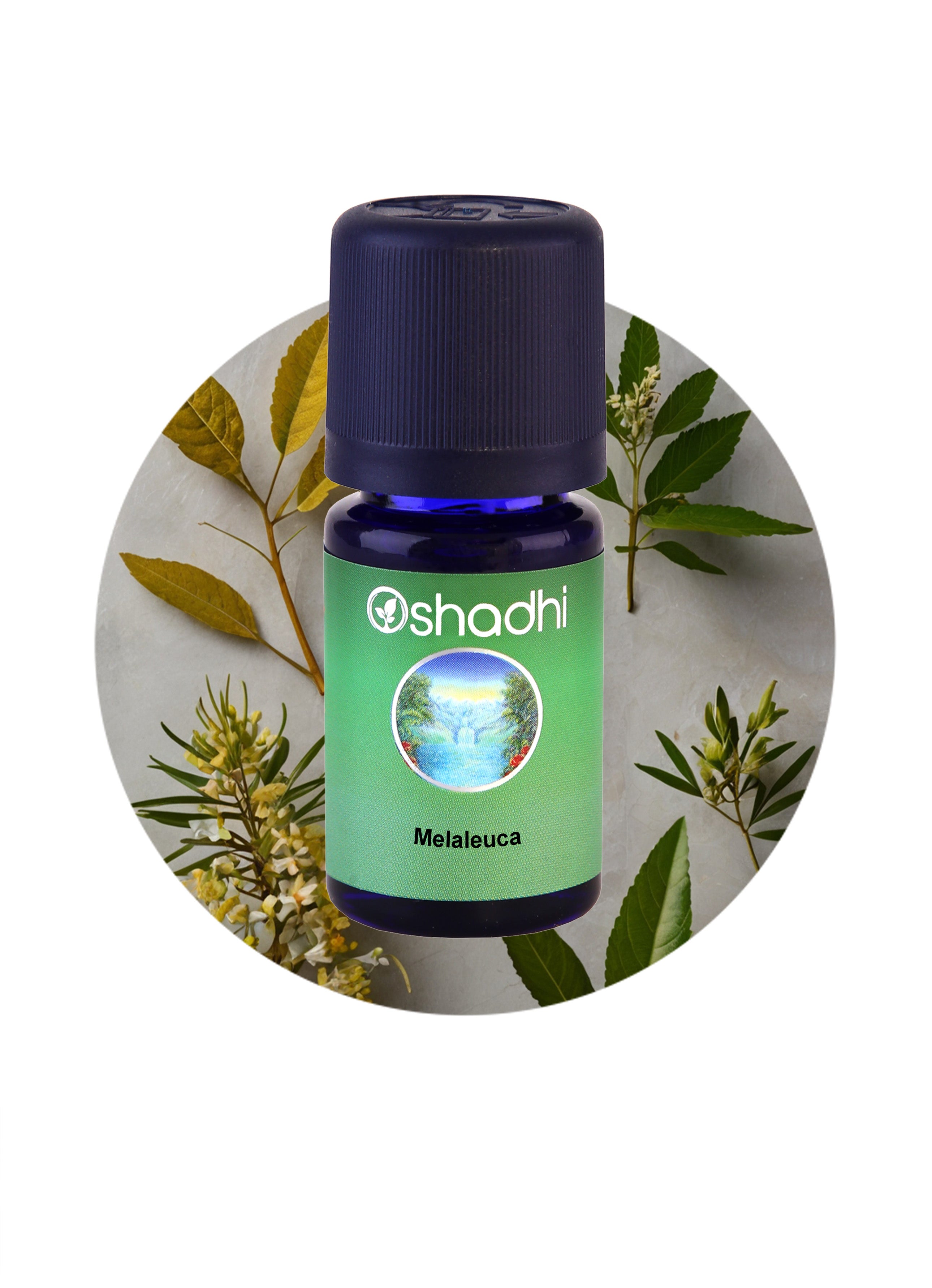 Clearance Sale – Oshadhi Essential Oils