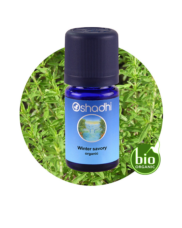 Winter savory organic Essential Oil Aroma