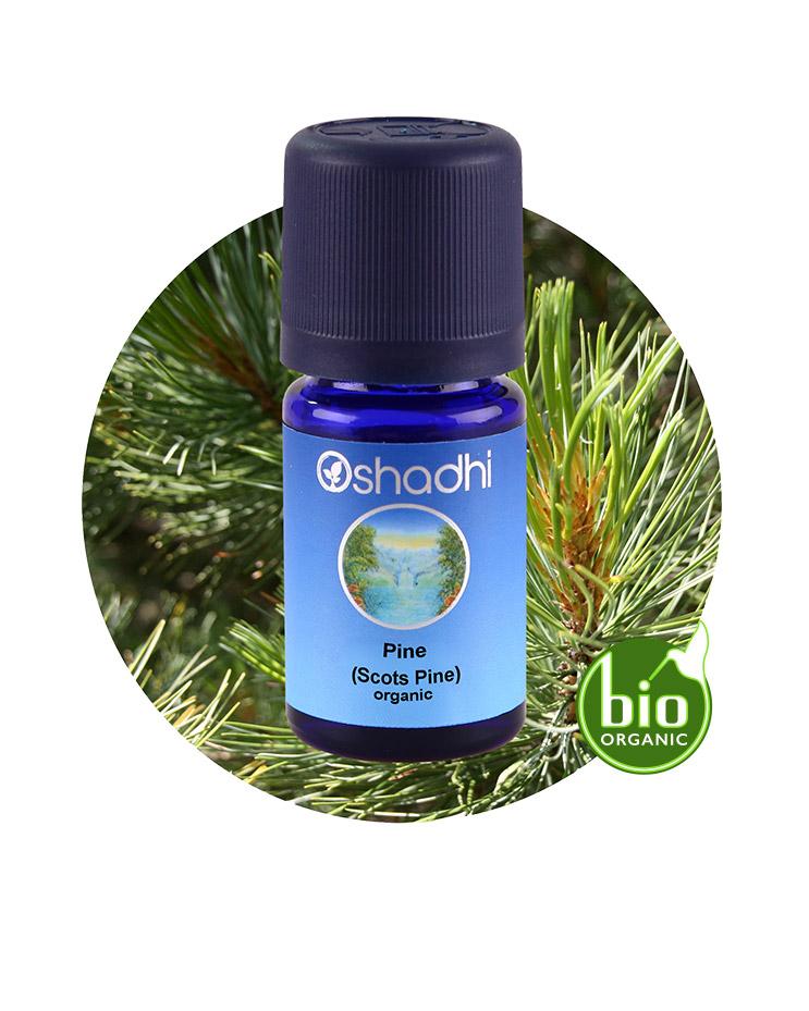 Pine (Scots Pine) organic Essential Oil Aroma – Oshadhi Essential Oils