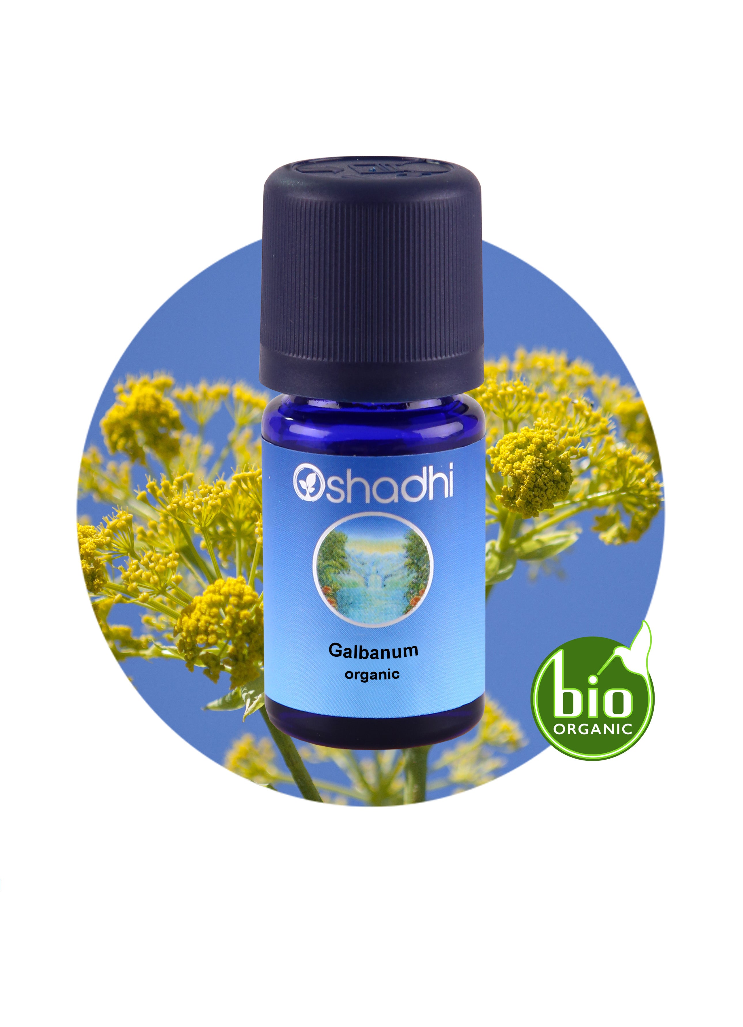 Galbanum organic Essential Oil Aroma