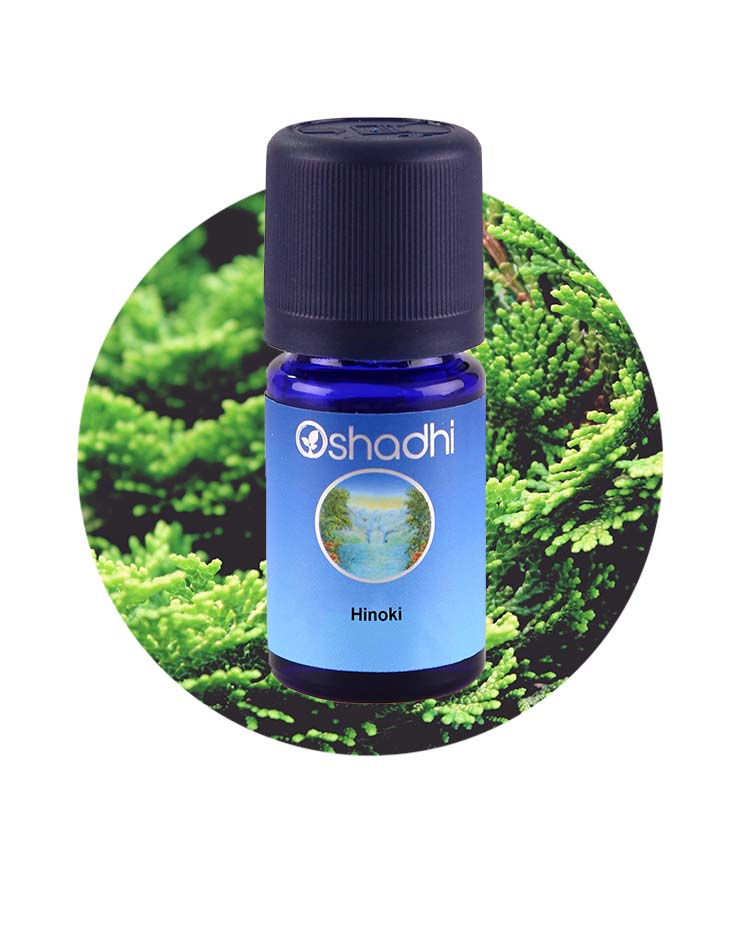 Hinoki Essential Oil Aroma