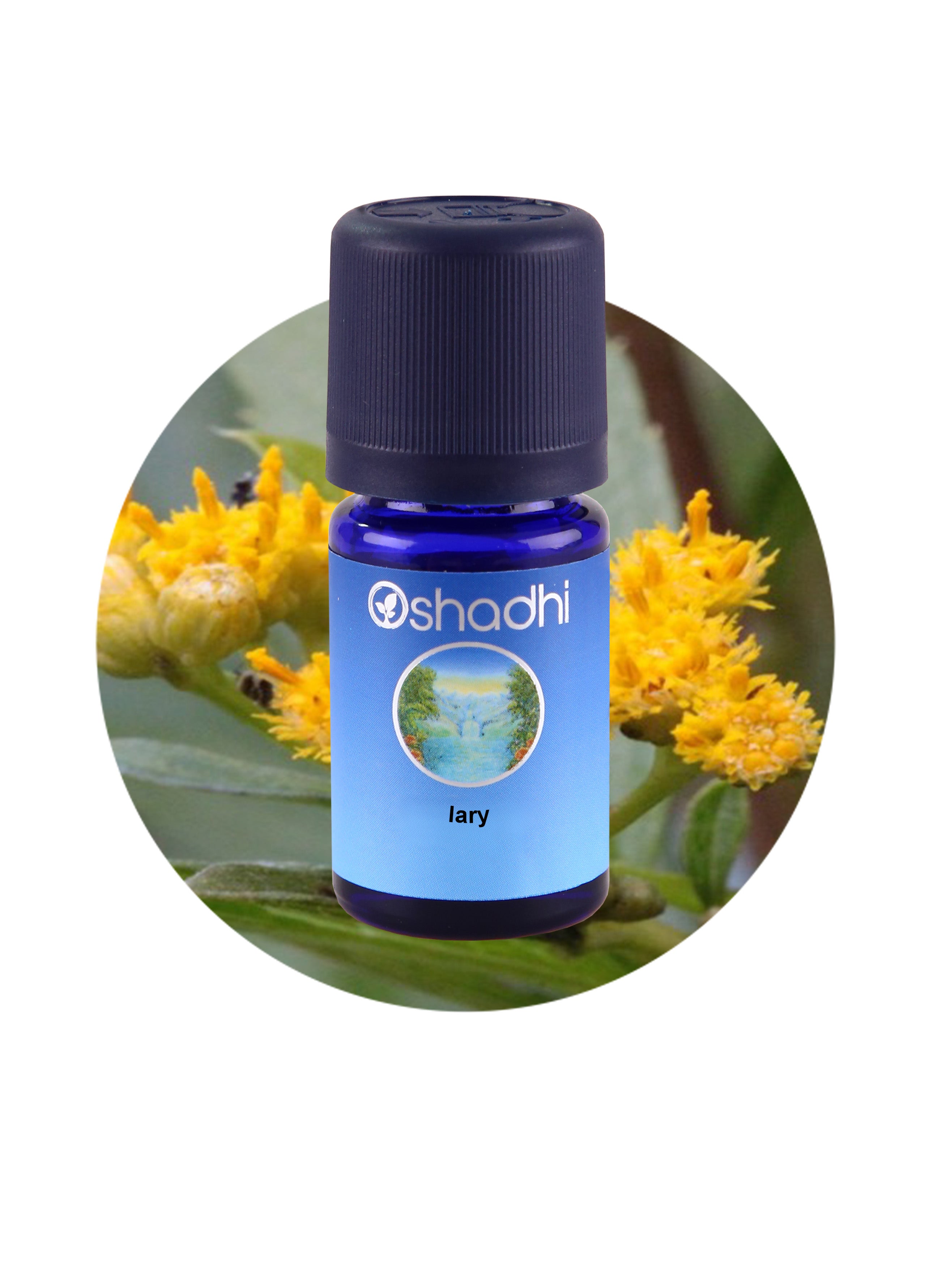 Iary Essential Oil Aroma