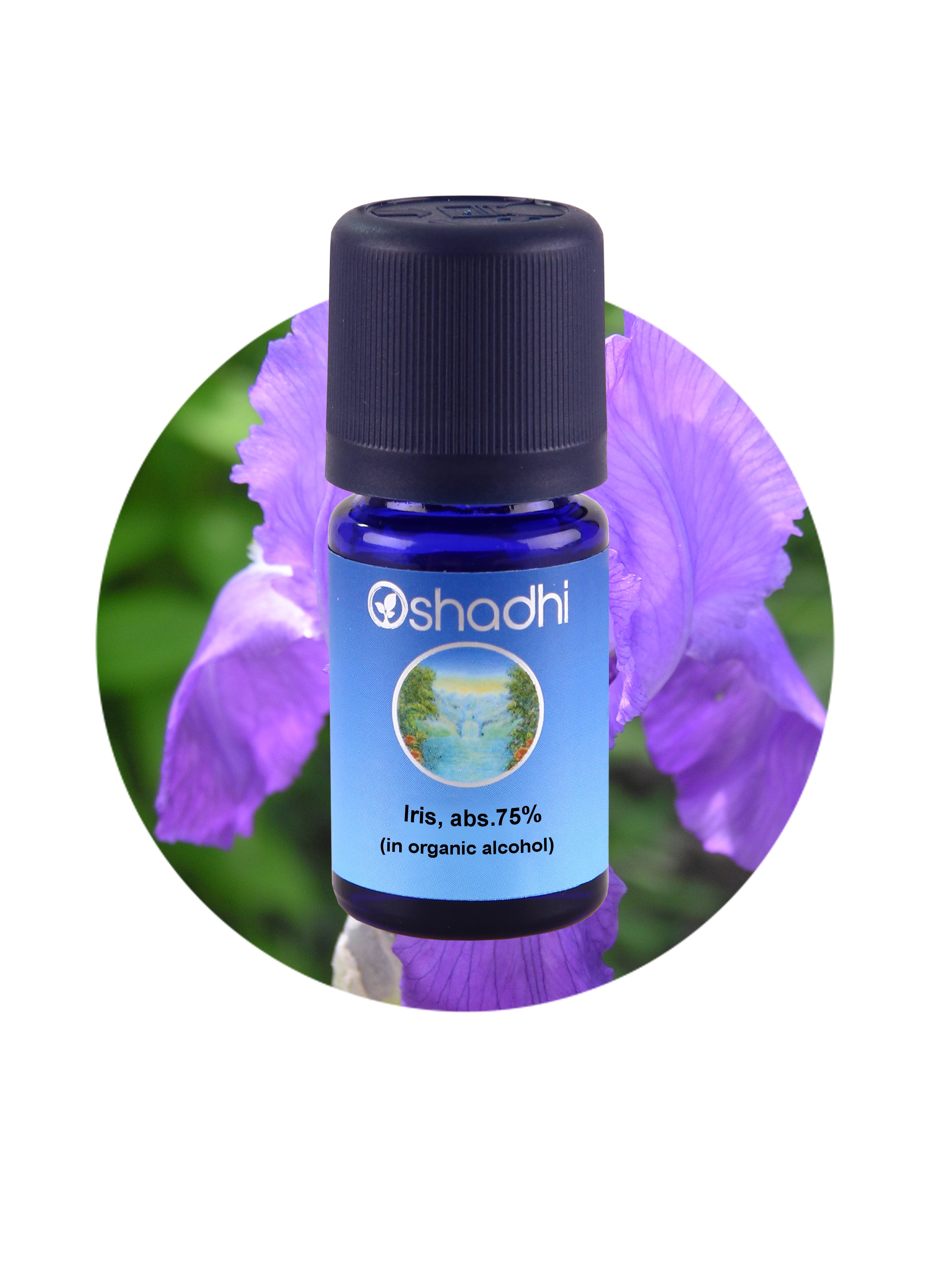 Iris, abs. 75% (in organic alcohol) Essential Oil Aroma