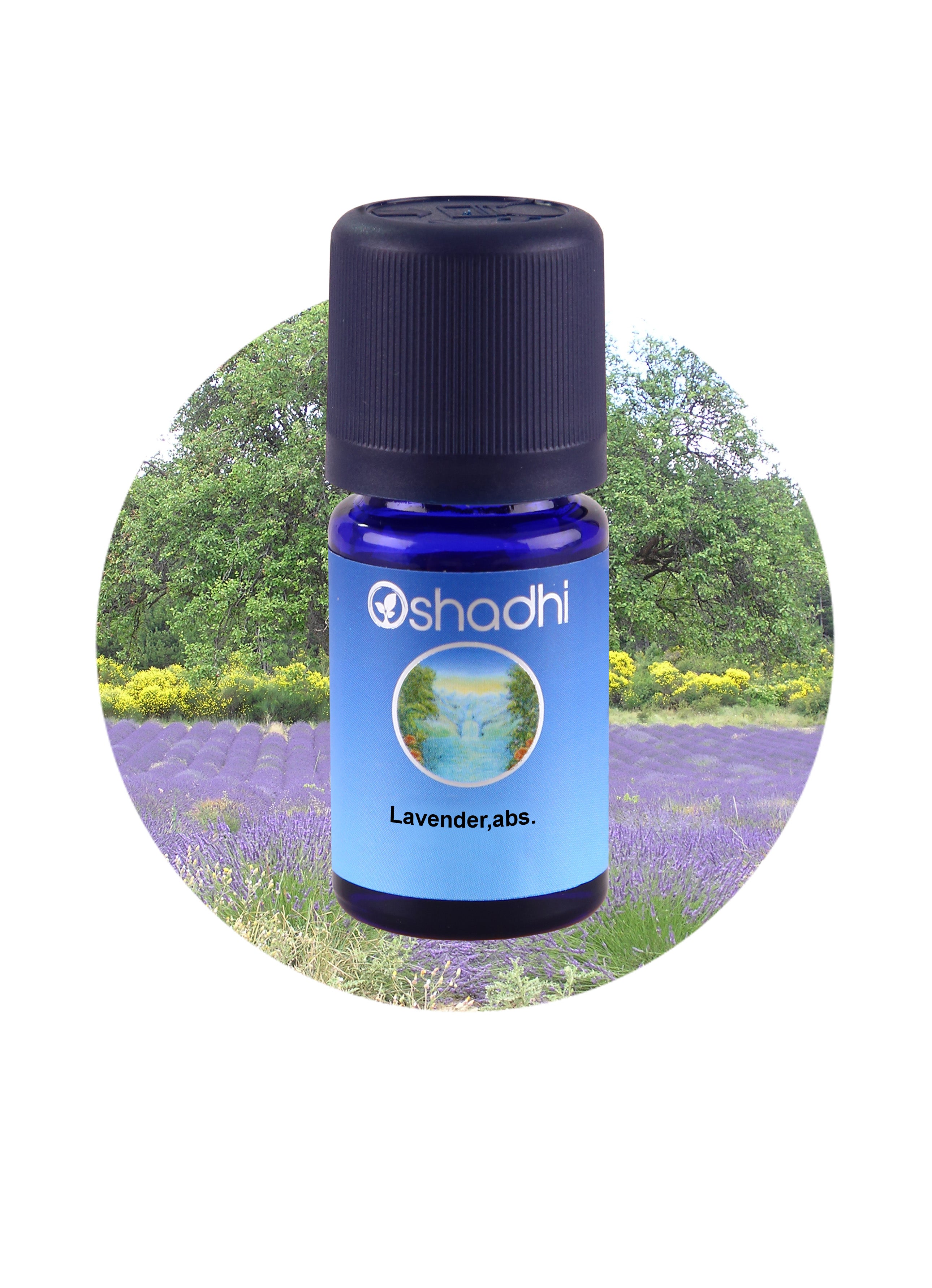 Lavender, abs. Essential Oil Aroma