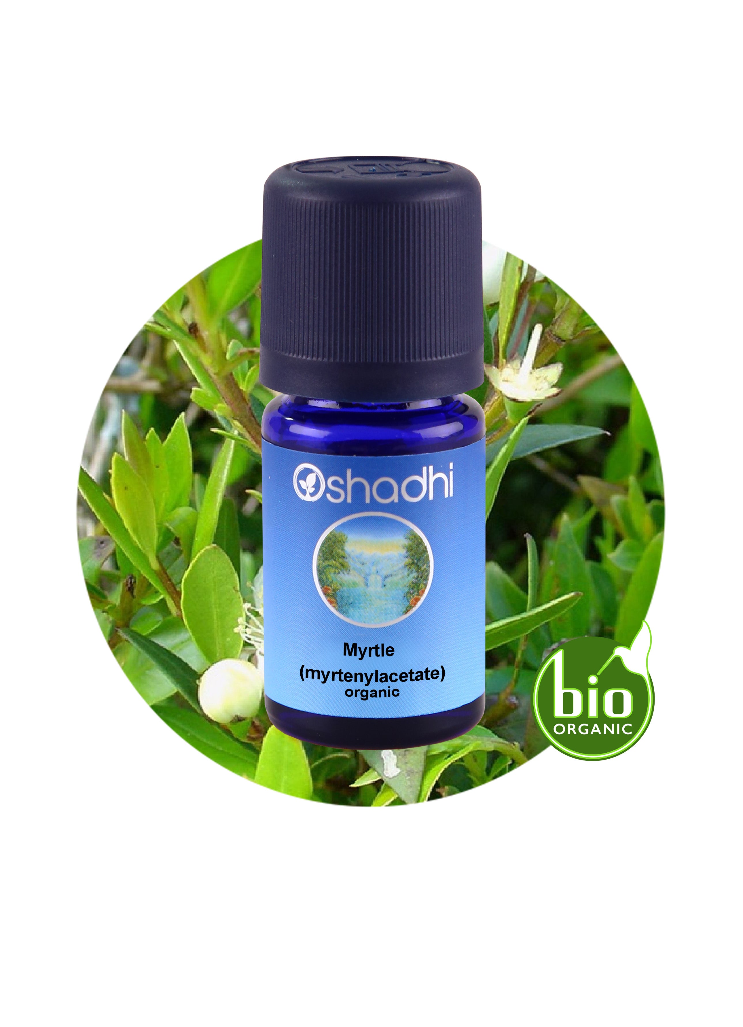 Myrtle (Myrtenyl acetate) organic Essential Oil Aroma