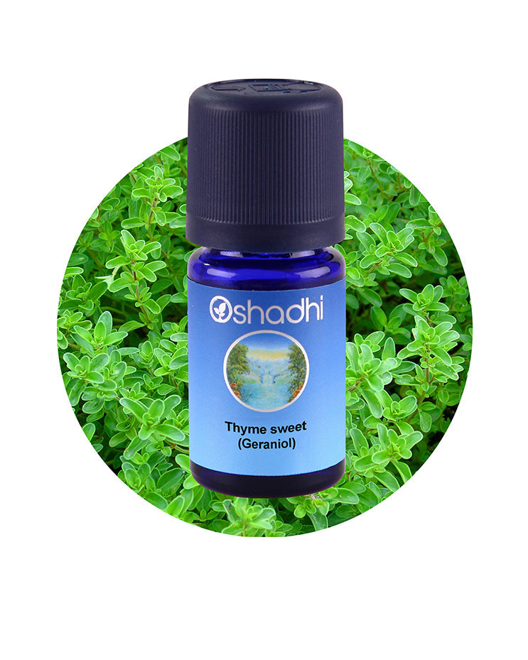 Thyme sweet (Geraniol) Essential Oil Aroma – Oshadhi Essential Oils