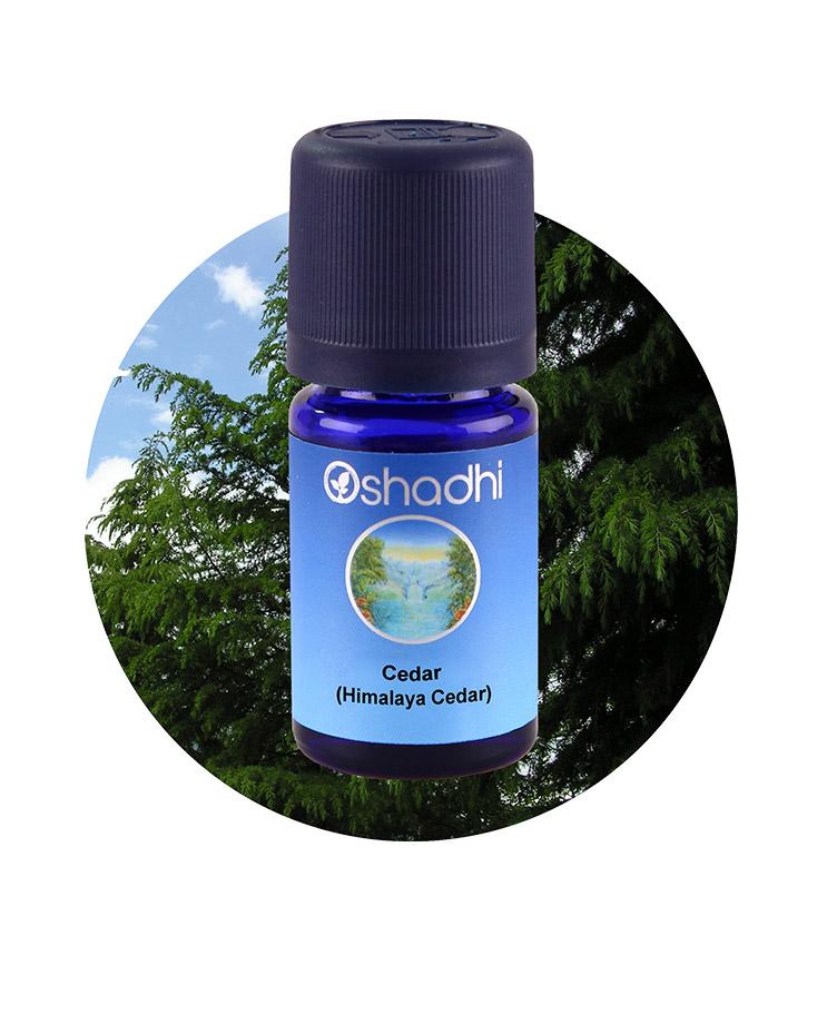 Himalaya Cedar Wood Essential Oil - Oshadhi