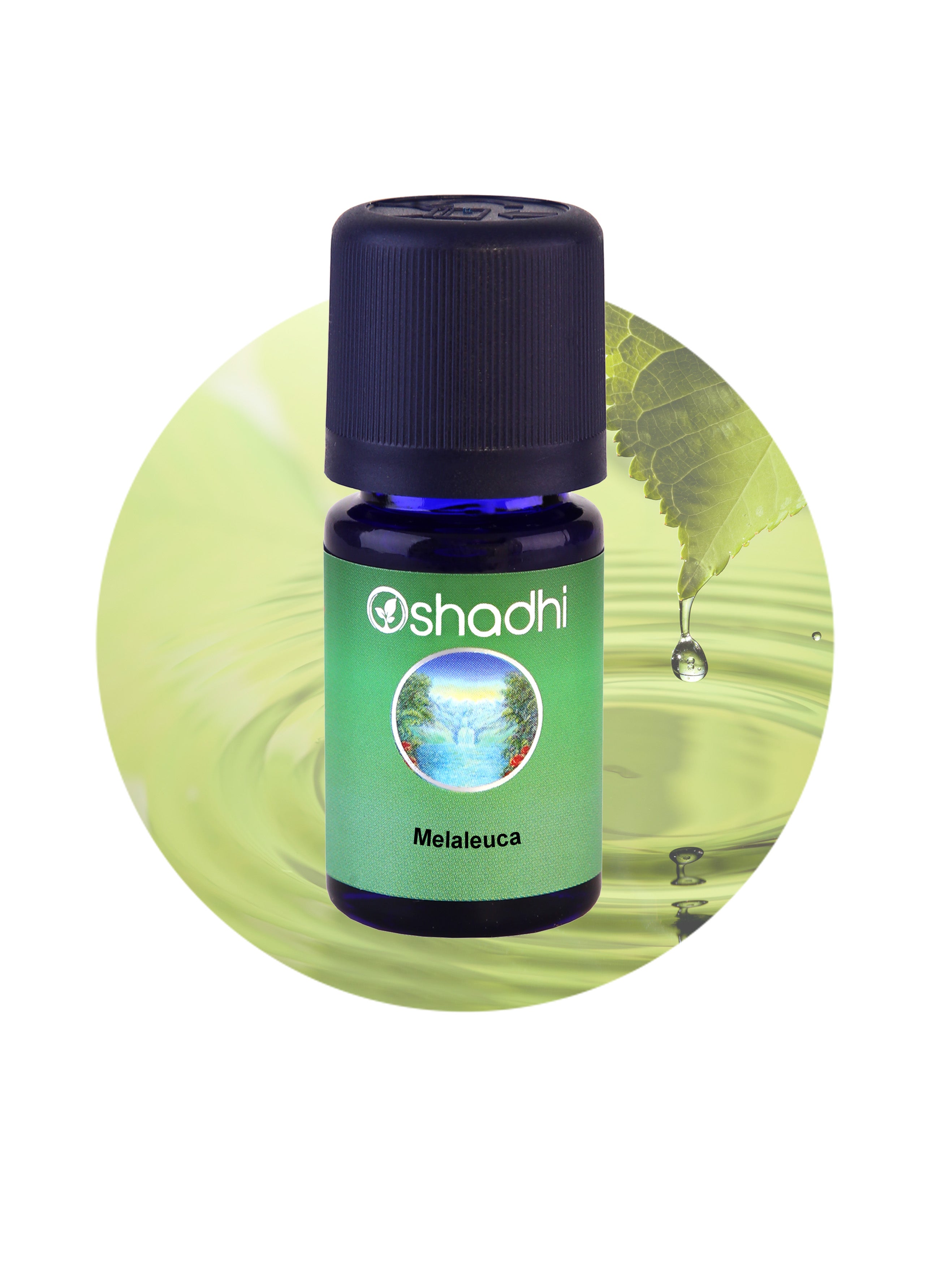 Melaleuca Blend Syngergy